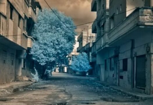 CARNE y ARENA: de stilering van de vluchteling | Eye Filmmuseum