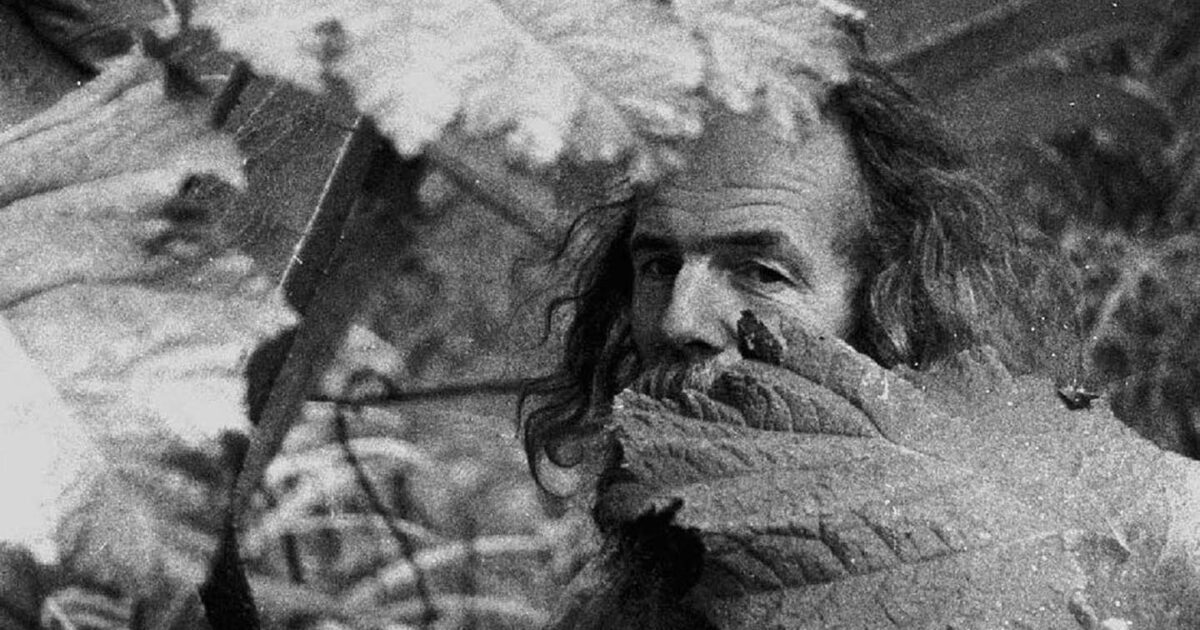 Filmkunstenaar Ben Rivers: filmmagie in een onttoverde wereld | Eye ...