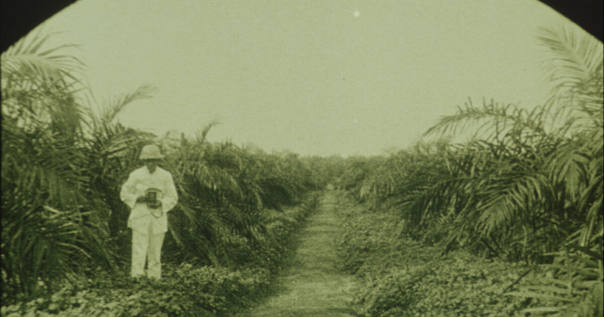 Masterclass - Water, Climate and Film | Eye Filmmuseum
