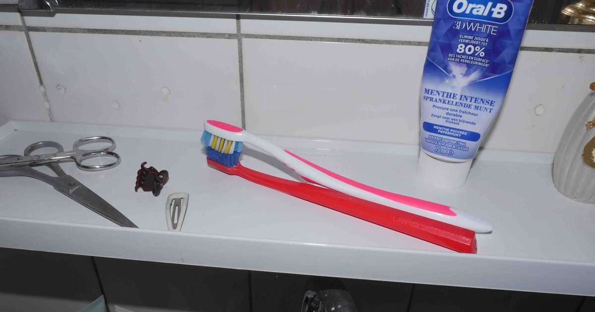 Rietveld Academy: Love Bit[e]s | Eye Filmmuseum