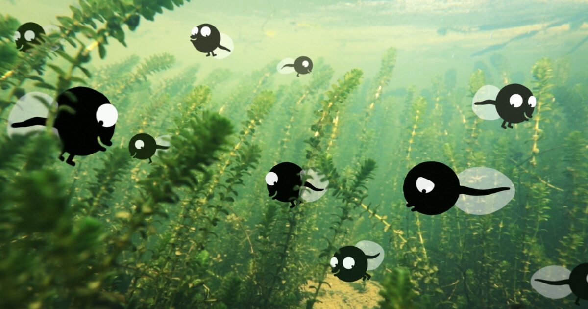 Cinemini: Anders | Eye Filmmuseum