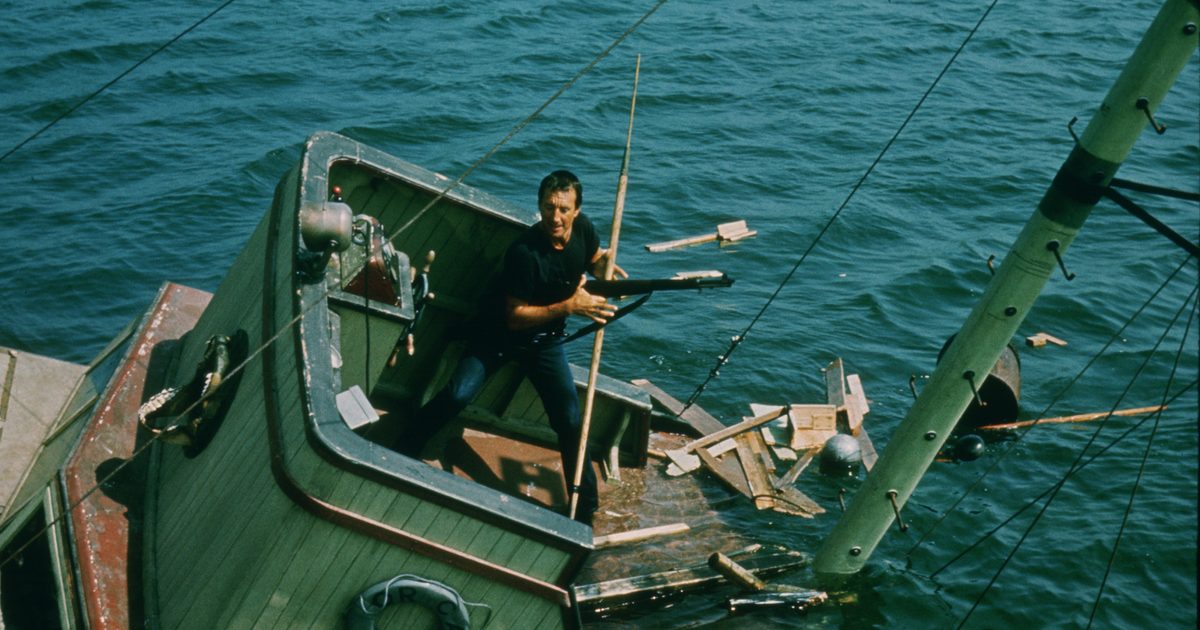Jaws | Eye Filmmuseum