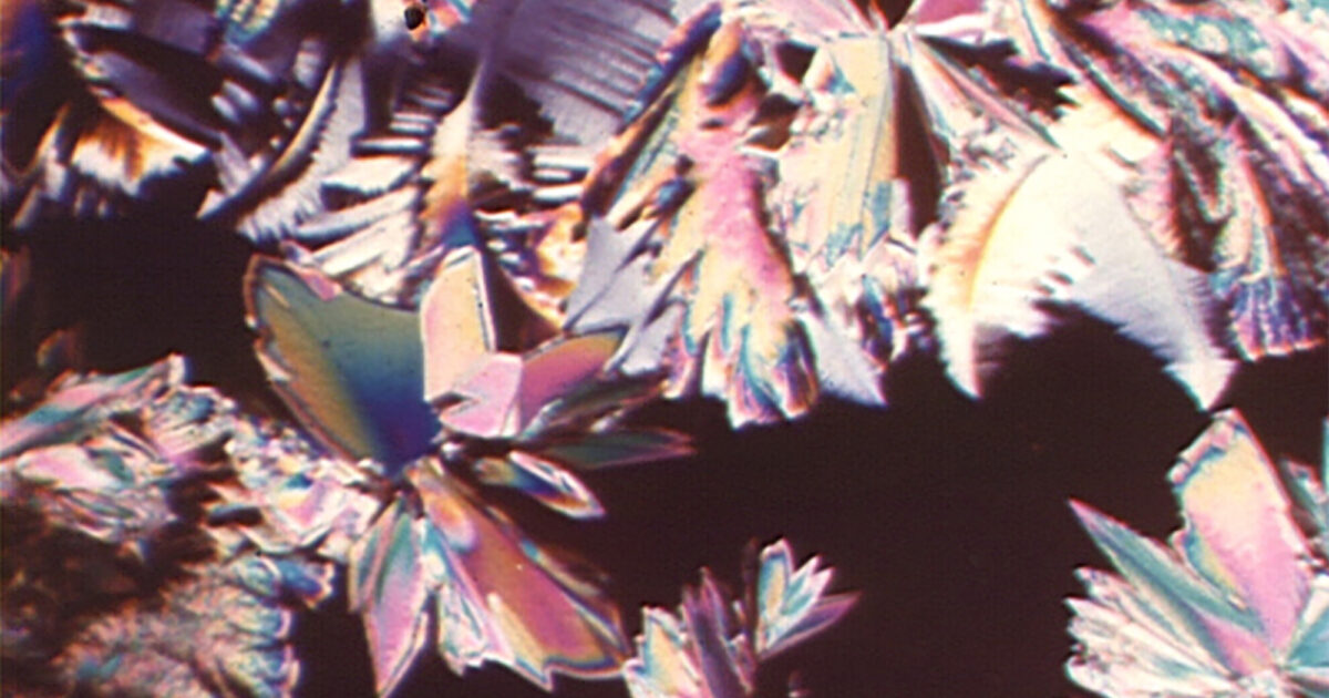 Eye International Conference 2025 | Eye Filmmuseum