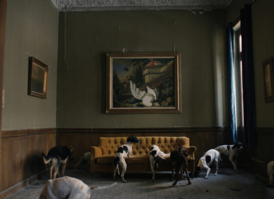 Janis Rafa | Eye Filmmuseum